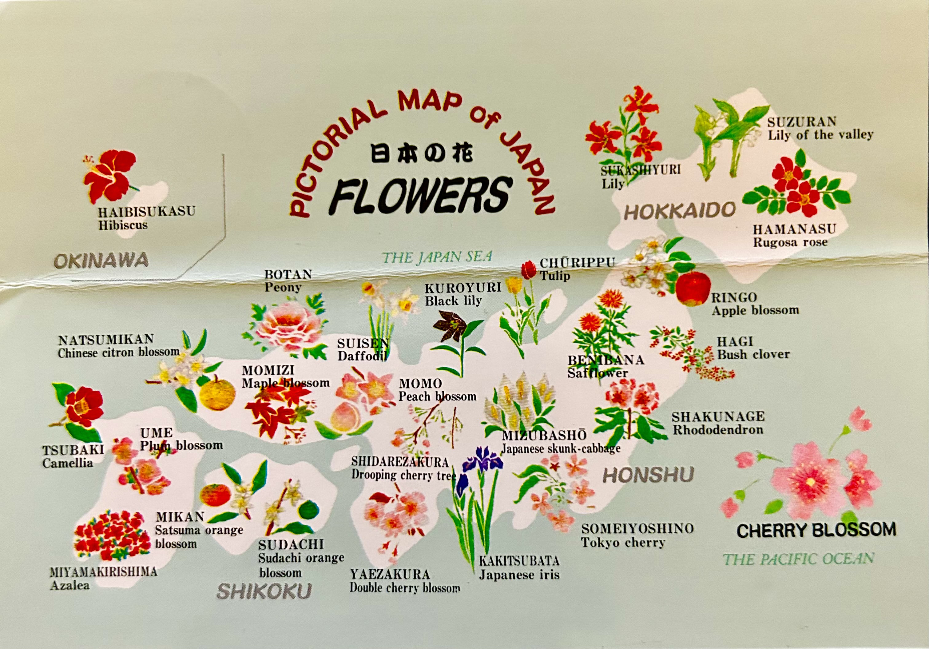 Map of Japan – Flowers – Postcards Etc
