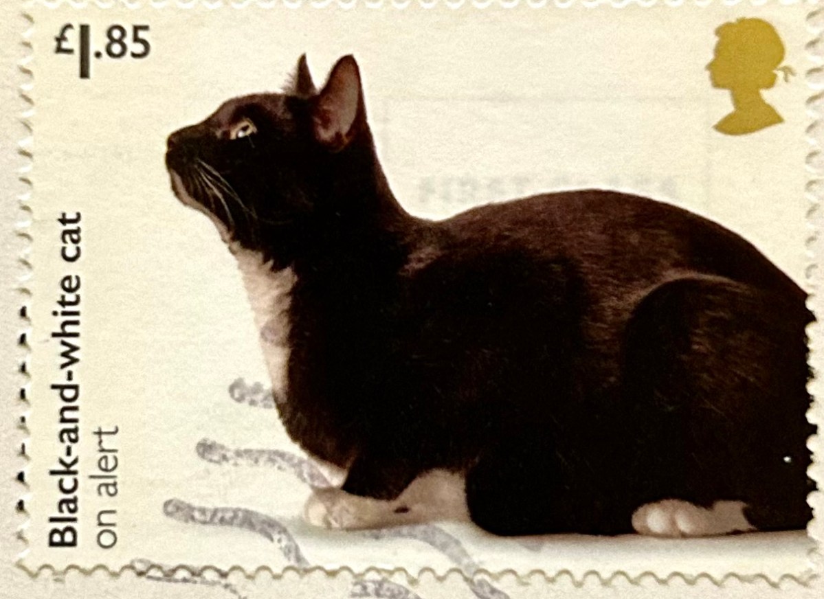 Cat Stamp – Postcards Etc