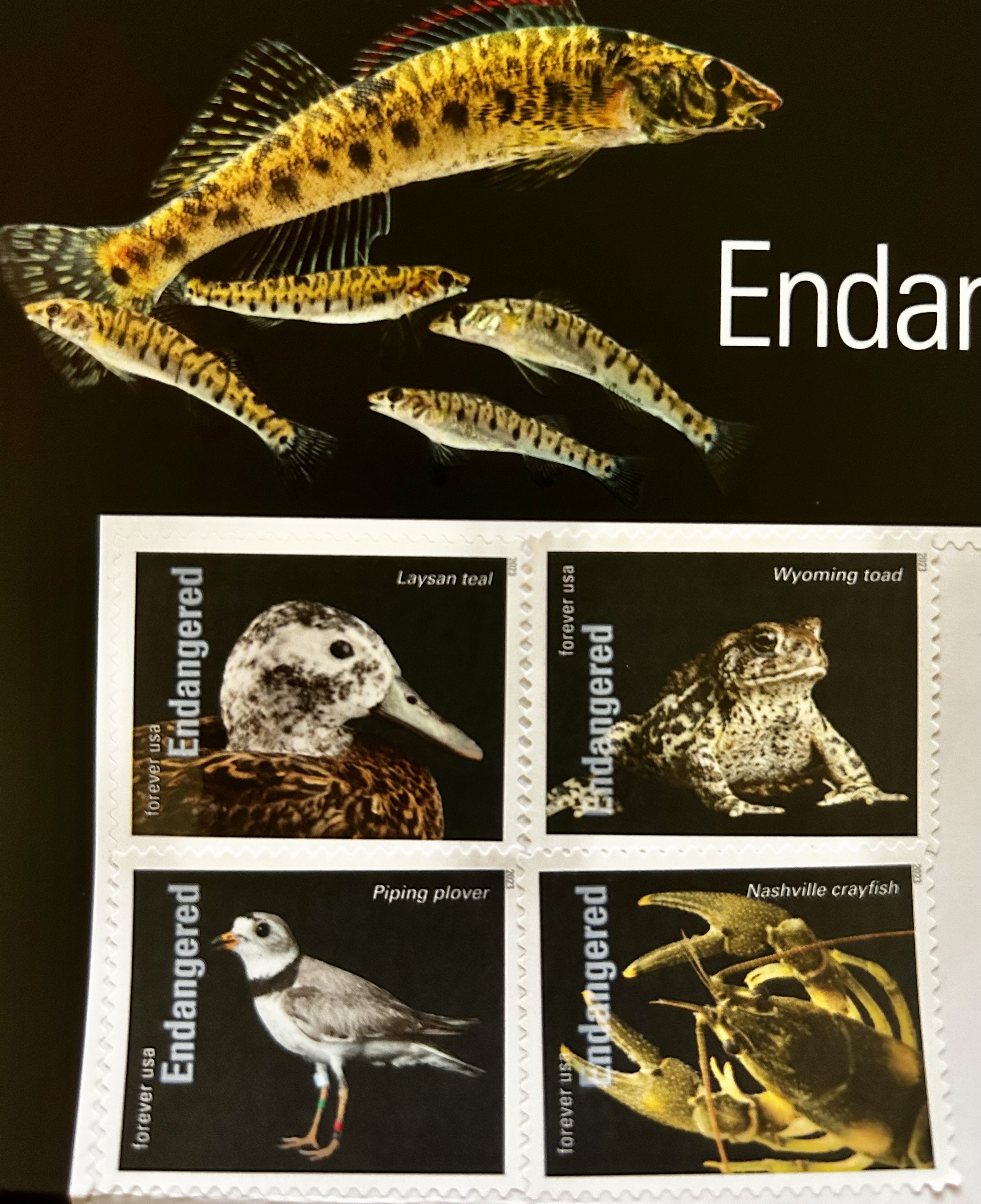 Sunday Stamps: Endangered Species – Postcards Etc