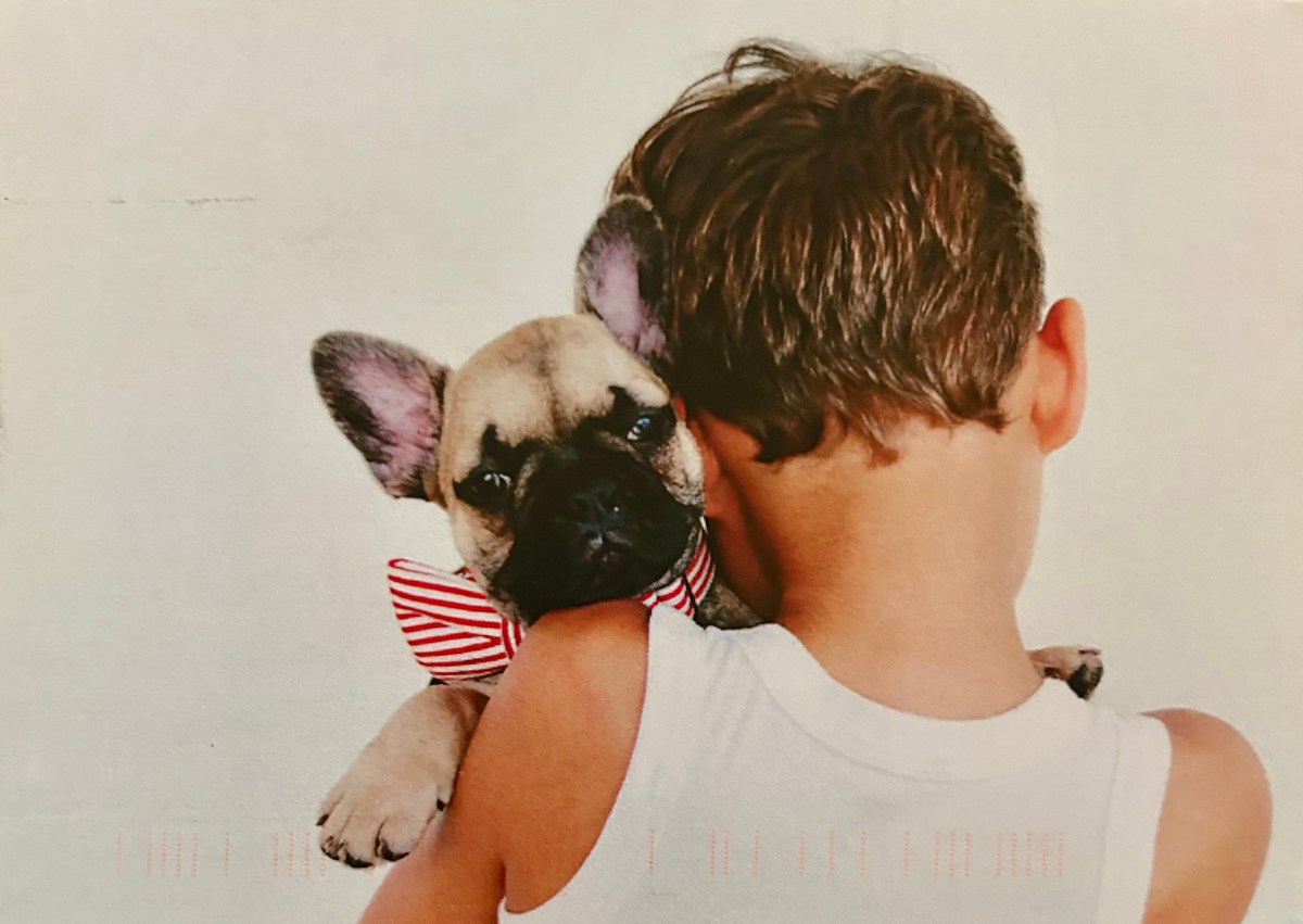 Hug a Pup – Postcards Etc