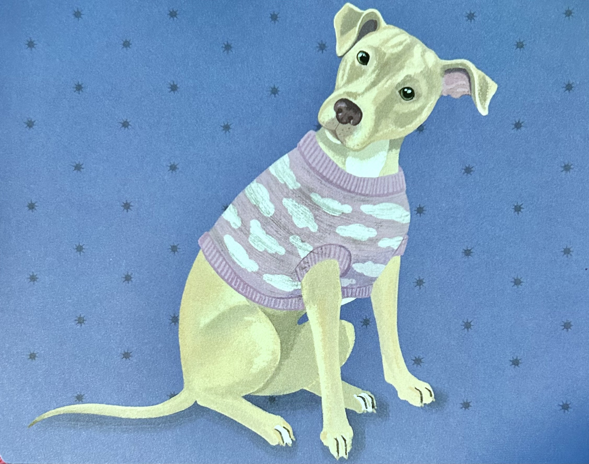 Dog in a Cloud Sweater – Postcards Etc